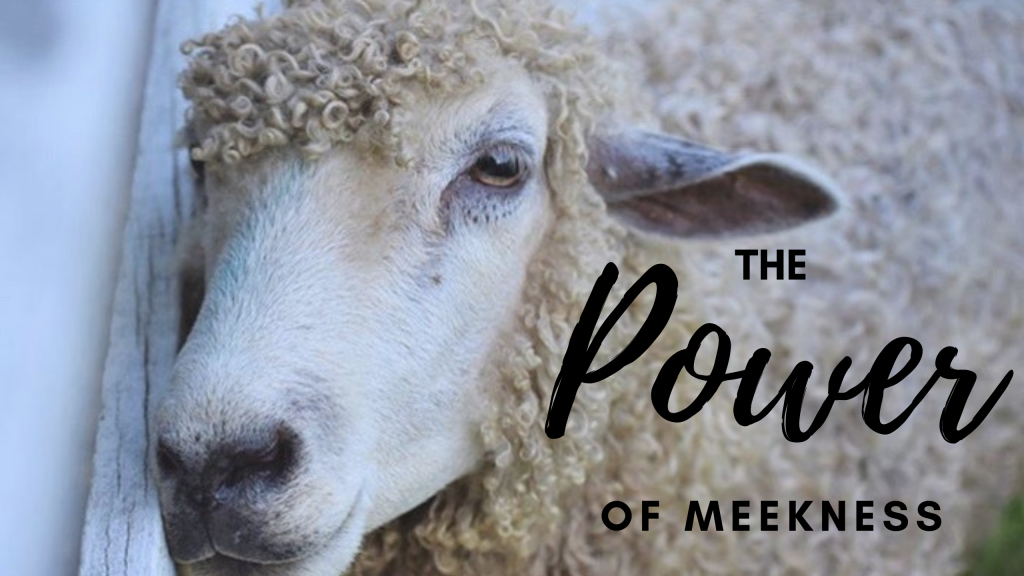 The Power of Meekness | Beauty for Ashes Mentoring