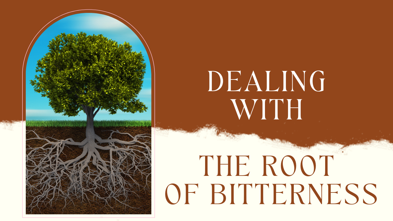 Dealing with the Root of Bitterness | Beauty for Ashes Mentoring
